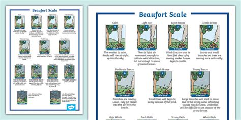 Beaufort Scale Visualiser Professor Feito Twinkl