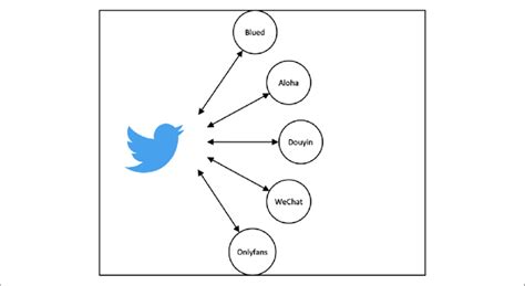 Chinese Queer Sex Influencers Cross Platform Mobility Between Twitter
