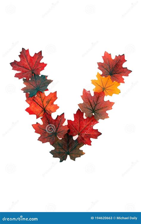 Letter V Created Using Fall Leafs For Color Concept Stock Image Image Of Face Created 194620663