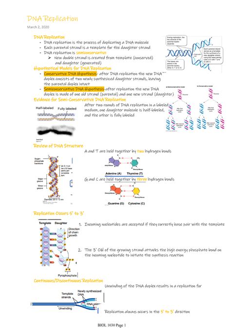 DNA Replication Lecture Notes 7b Warning TT Undefined Function