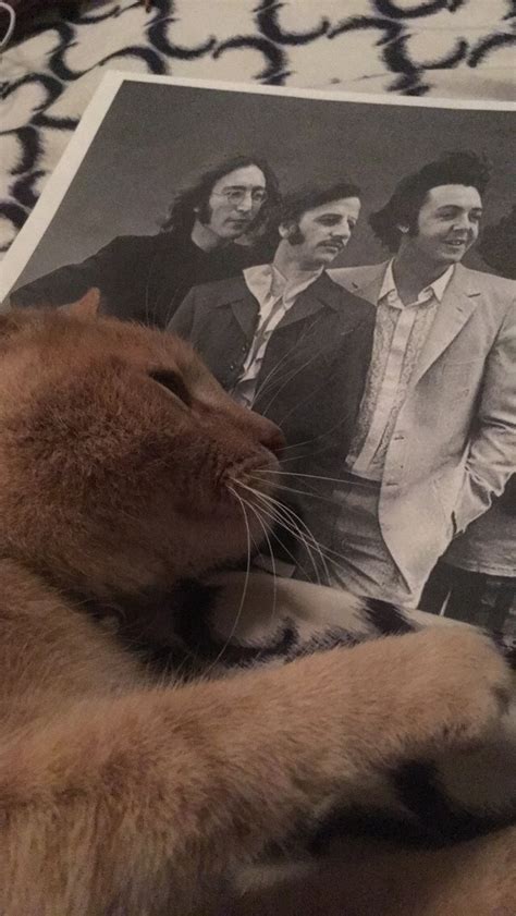 George Harrison On Tumblr