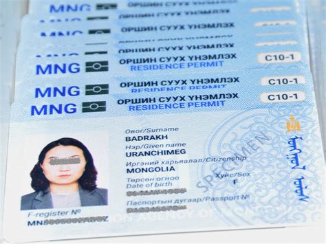 Оршин суух зөвшөөрлийн 2313 хүсэлтийг цахимаар хүлээн авч шийдвэрлэжээ