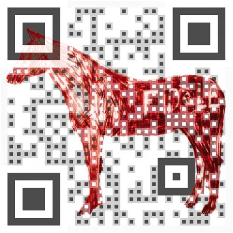 Visual Qr Code By Info Visualead