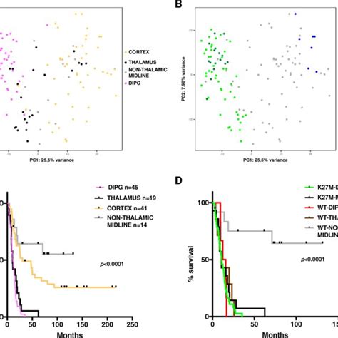 Gene Expression Based Classification Of High Grade Gliomas And Download Scientific Diagram
