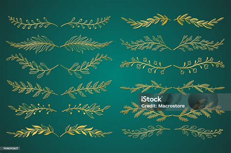 손으로 그린 디자인으로 설정된 금색 꽃 장식 분배기 허브 나뭇 가지 꽃 및 식물 식물 장식품의 번들은 장식과 장식 가지를 스크롤합니다 벡터 일러스트레이션 벡터에 대한 스톡