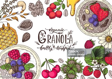 그래놀라 일러스트레이션 귀리 플레이크 딸기 과일 및 견과류 아침 식사 상단 보기 프레임 아침 음식 메뉴 디자인 손으로 그린 벡터 그림 0명에 대한 스톡 벡터 아트 및 기타