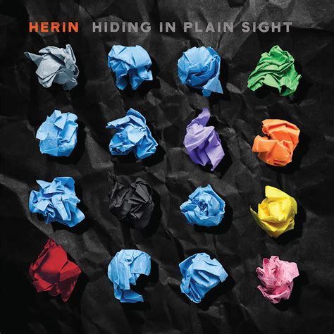 Album Review Hiding In Plain Sight Herin Distorted Sound Magazine