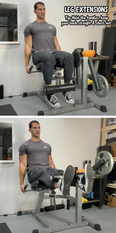 Leg Extension Exercise At Home At Charles Dickman Blog