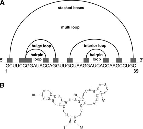 Knotseeker Heuristic Pseudoknot Detection In Long Rna Sequences