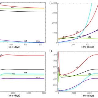 Numerical Time Course Calculations Of The Model Variables Using