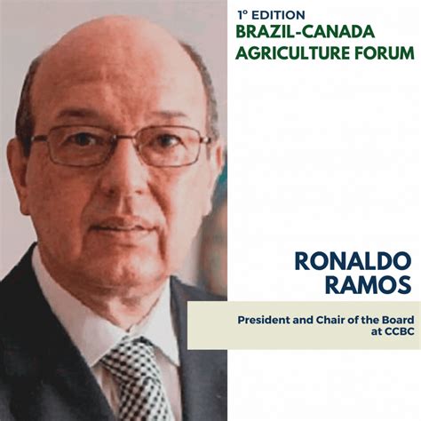 A Brazil Canada Chamber Of Commerce Bccc E A Câmara De Comércio Brasil Canadá Ccbc Têm O