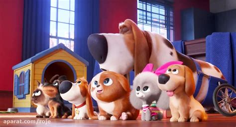انیمیشن زندگی مخفی حیوانات خانگی 2 دوبله فارسی 2019