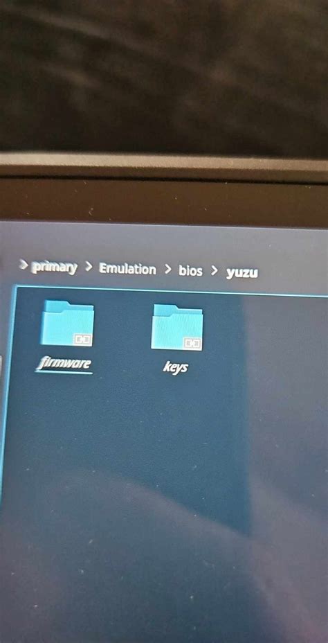Switch Emulation Rsteamdeck