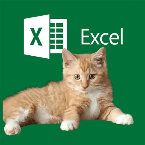 如何用excel按年龄段分组统计数据 透视 学习材料 示例