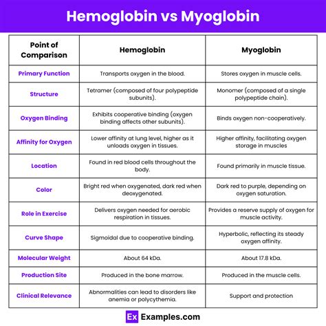 Hemoglobin Vs Myoglobin Difference Explained With Structure And Function
