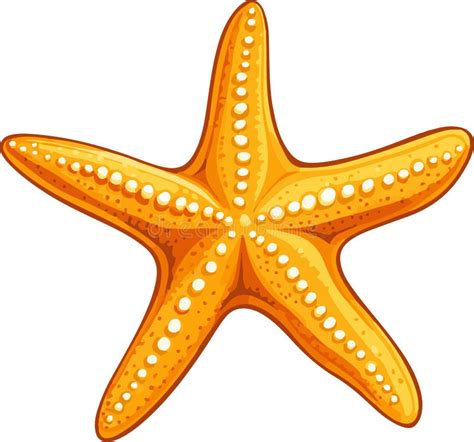 Clip Art Starfish Cute Starfish Vector Illustration Friendly Oceanic