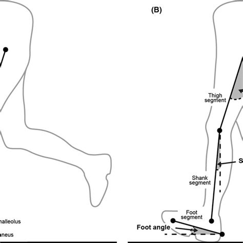 Schematic Of A Marker Placements And Joint Angles Bold And B