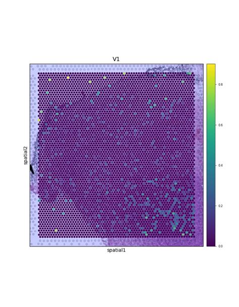 Spatial Resolution Artifacts Outside Of Detected Tissue Spatialdata Scverse