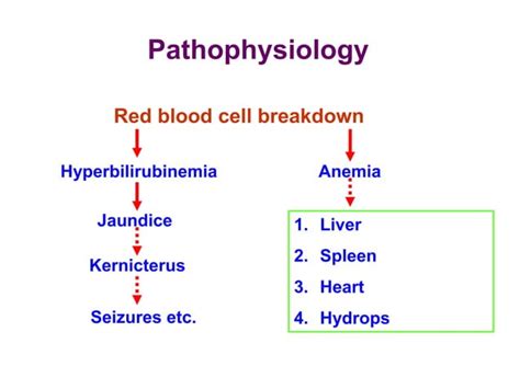 Abo Incompatibility Safiullah Ppt