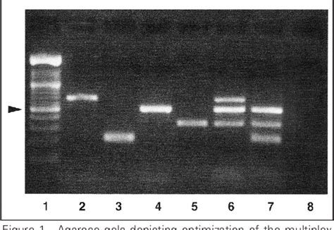 Figure 1 From Use Of A Multiplex Polymerase Chain Reaction Assay In The Antemortem Diagnosis Of