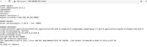 How To Install Minikube In Amazon Linux Devopszones