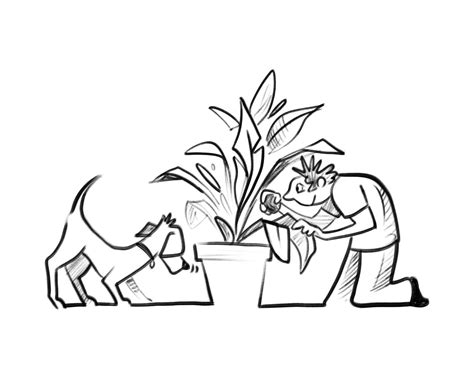 Hide And Stink Jasons Doodles