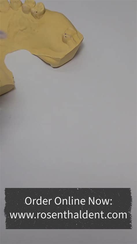 Flexible Nesbit Flipper Denture 1 3 Tooth Partial Order Online