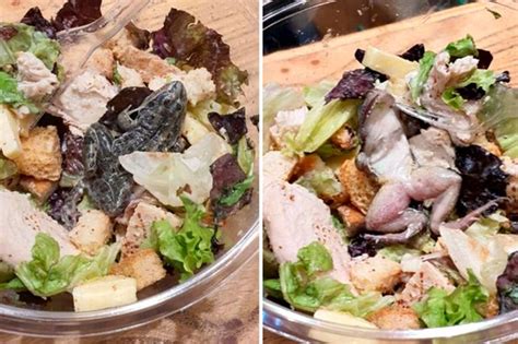 Dance Troupe Sacked After Performing Explicit Dance With Sex Doll At Carnival Daily Star