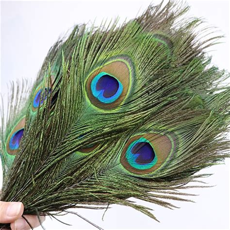 Real Peacock Feathers