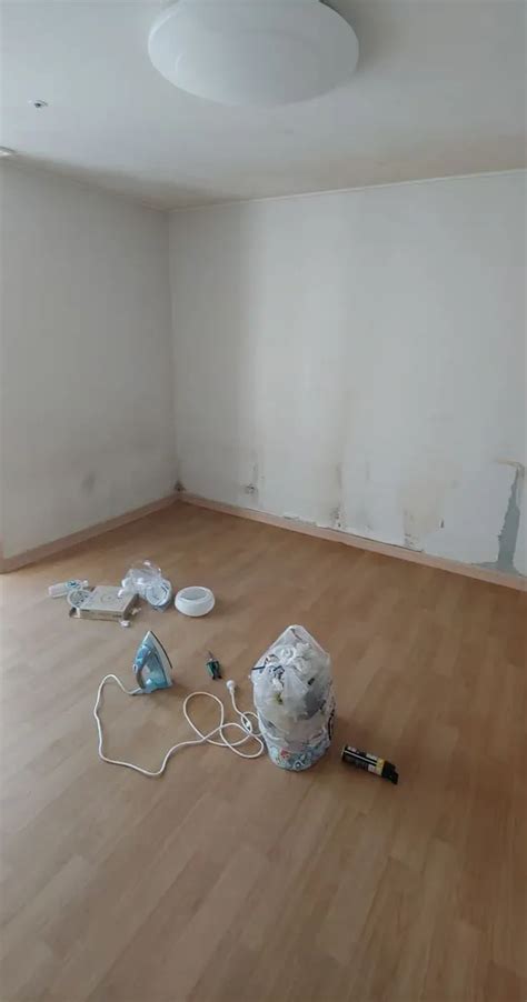 가격도 합리적이고 꼼꼼하게 잘 해주세요 시간을 잘 지켜주십니다 숨고 숨은고수