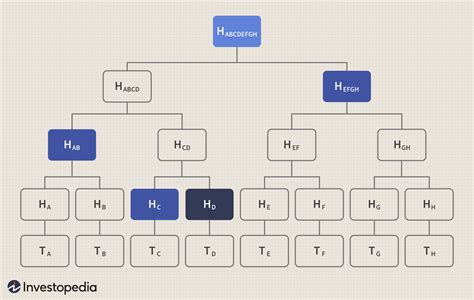 Merkle Root Cryptocurrency Definition