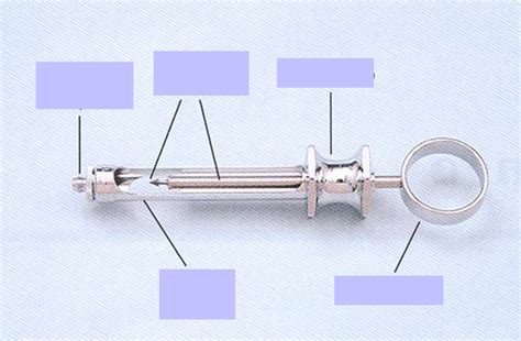 Components Of The Syringe Diagram Quizlet