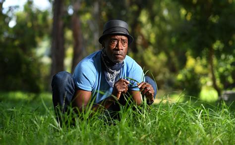 Don Cheadle Profile Height Age Wife Net Worth Wiki Biography