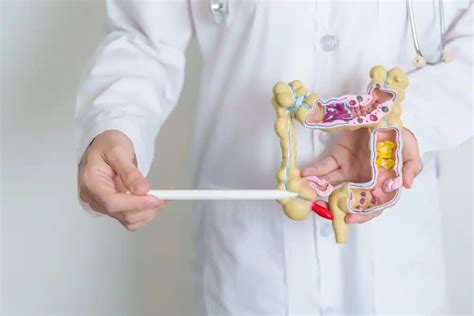 Early Signs And Symptoms Of Appendicitis Expert Treatment