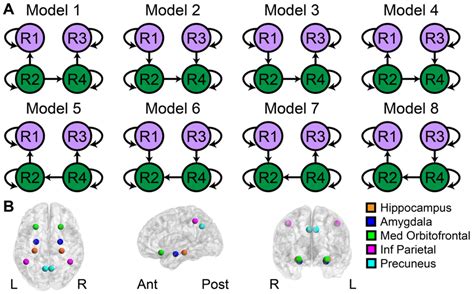 Depiction Of The Dynamic Causal Models And Brain Regions Included A Download Scientific
