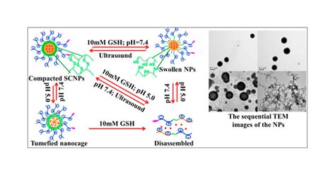 Zwitterionic Nanoparticles Constructed With Well Defined Reduction