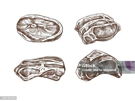 고기 돼지 고기 또는 쇠고기 스테이크 고기 베이컨 고기 조각 벡터 일러스트 레이 션의 조각의 손으로 그린 스케치 날고기 빈티지 일러스트입니다 카페 메뉴 장식 새겨진 이미지
