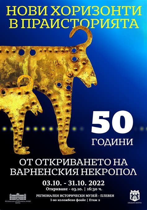 Младежка историческа общност България