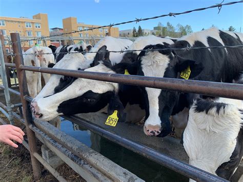 Claude35 Sonnet Function Calling Using Amazon Bedrock Converse Api