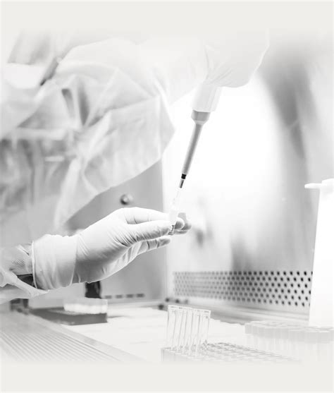 Stem Loop Primers Comparison Short RNA QPCR Assays