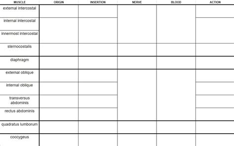 Exam 4 Muscle Matrix Matching Diagram Quizlet