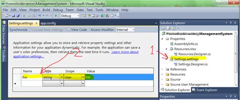 Visual Studio Vs2010 Adding Settings To Ttings Causes App