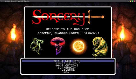 c engine for wizardry r opensourcegames