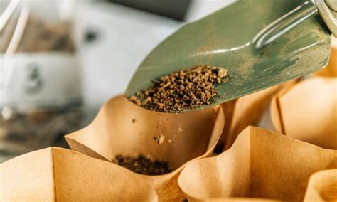 How To Test Your Soil