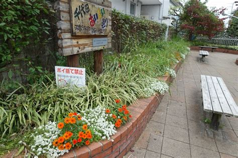 花リレー byM 大阪府南部