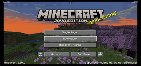 [bug] Mouse Icon Issue · Issue 4804 · Pojavlauncherteam Pojavlauncher · Github