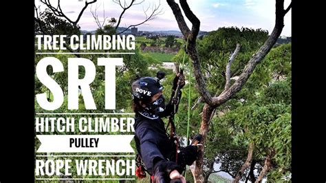 Pulley For Tree Climbing At Harrison Fulton Blog