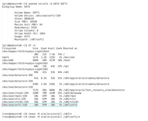 Oracle 12c Cluster Acfs Leverages Flex Asm Oracle Skills
