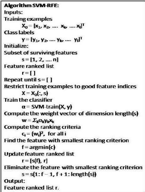 The Linear Svm Rfe Algorithm 7 Download Scientific Diagram