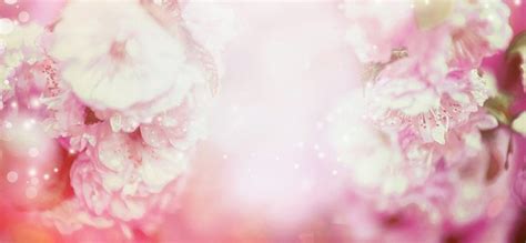 분홍빛이 감도는 옅은 노을 하늘 배경 및 무료 다운로드를위한 그림 Pngtree